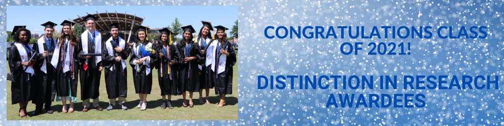 Undergraduate Research Distinctions